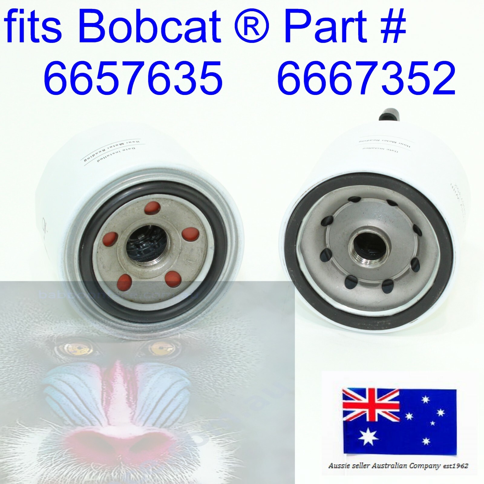 Filter Kit Oil Fuel fits Bobcat 6657635 6667352 425 428 E25 E26 463 553 ...