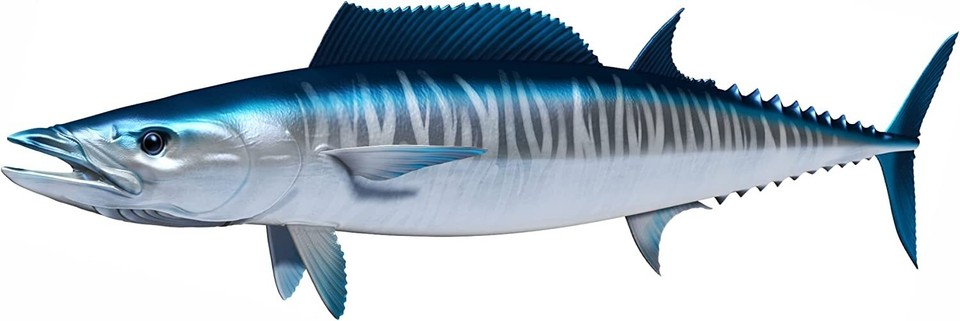 Wahoo Beautiful Vinyl Sticker Fish Decals for Boat Car Vehicle Truck ...