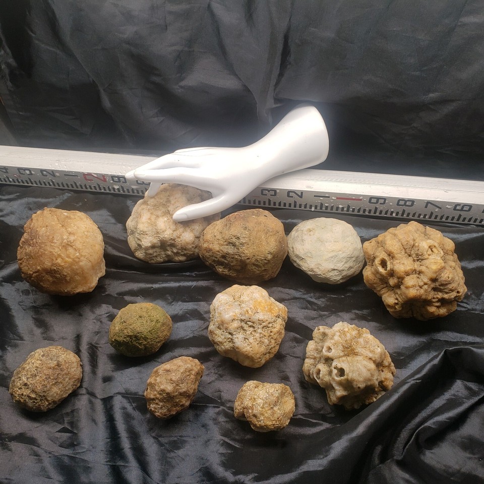 15 lbs Unopened Kentucky Geodes – Natural Quartz Crystals, Collectors ...