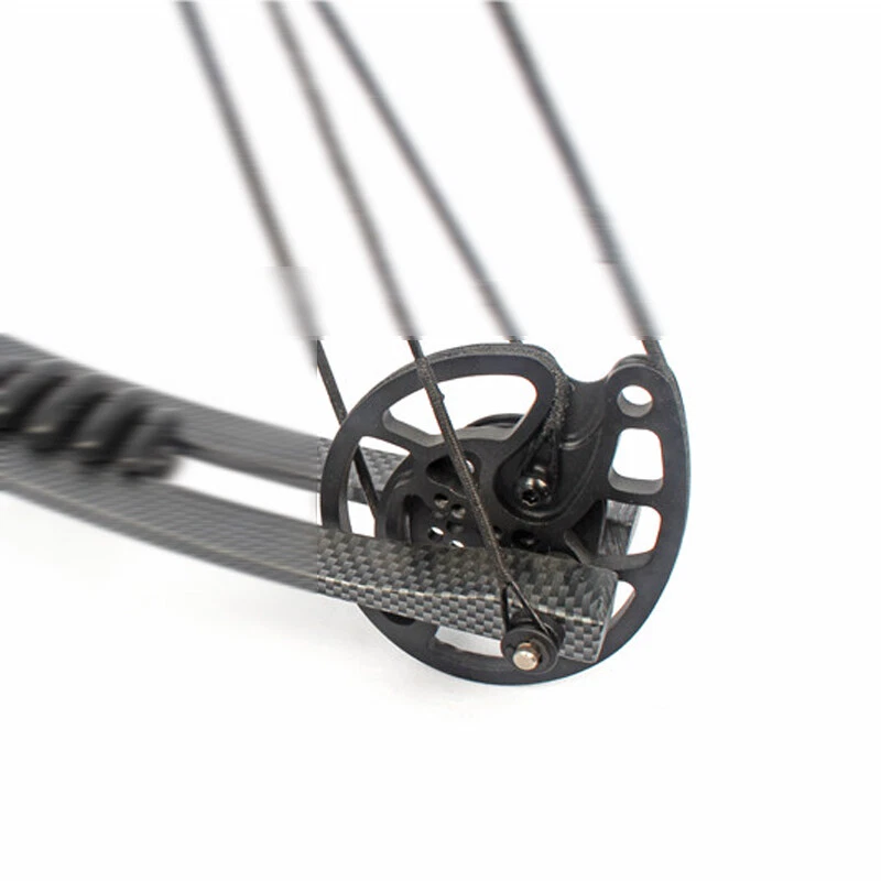 Homemade Compound Bow