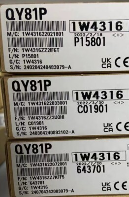 1PC New Mitsubishi QY81P PLC Module In Box Free Shipping | eBay