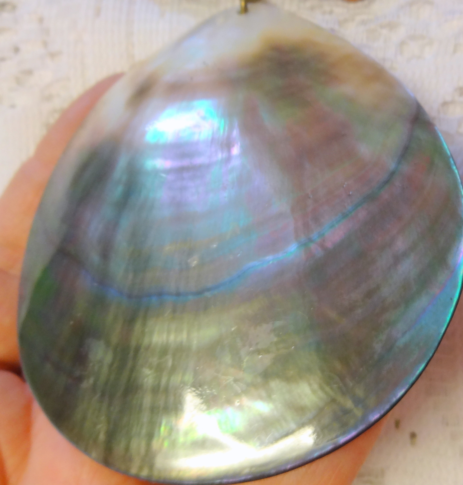 Vintage Hand Made Runway Chunky Natural Tiger Eye Sea Shell Pendant ...