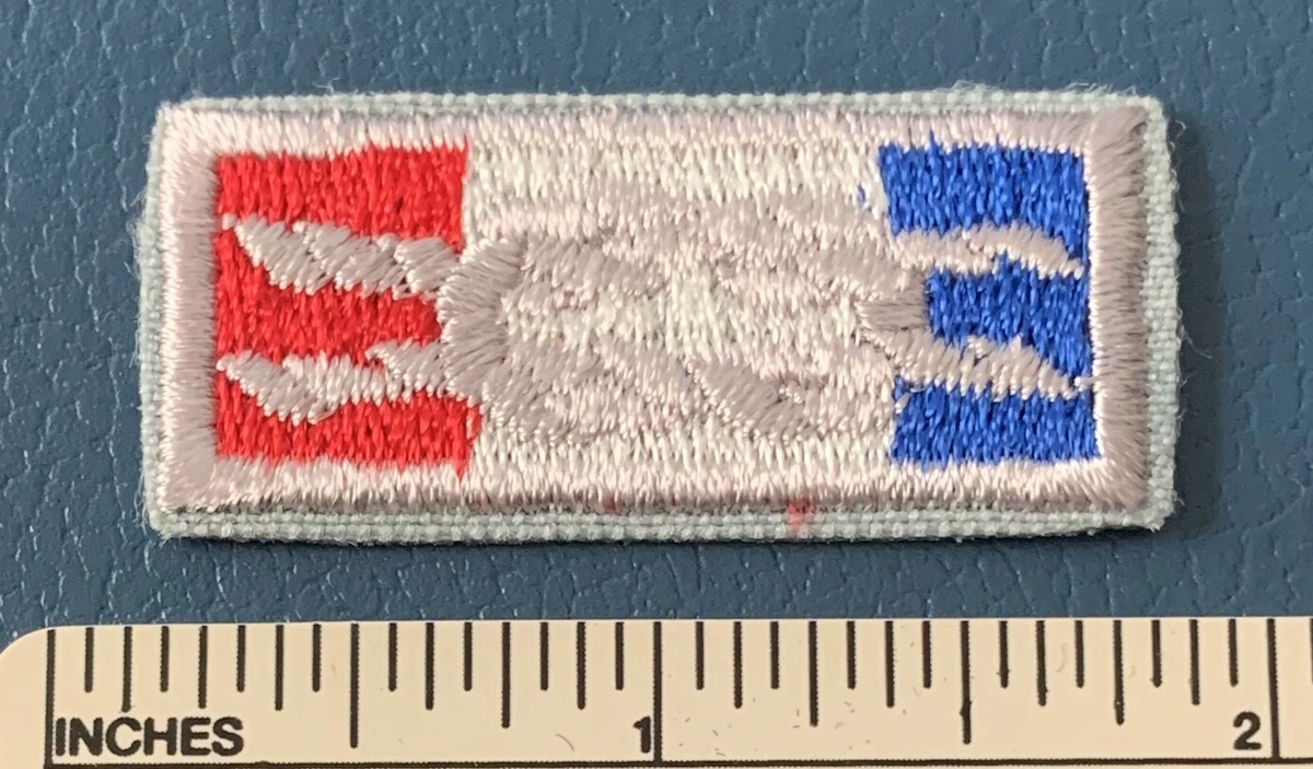 Explorer Scout Silver Award