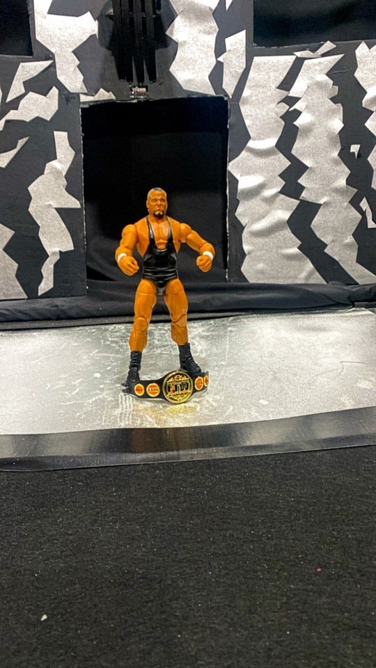 WWE Elite Custom Taz ECW Figure Hand Painted & Fully Sealed & FTW Belt ...