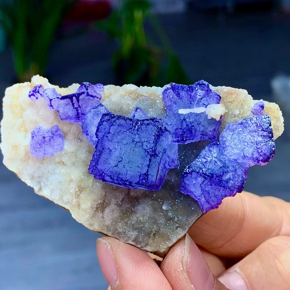 47G Natural purple "QR code" fluorite cluster crystal mineral sample ...