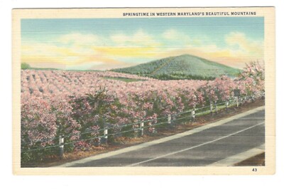 Springtime IN Western Maryland Beautiful Mountains Maryland VTG ...