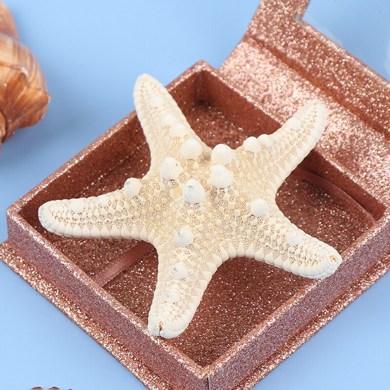 Starfish Crafts Decor Starfish DIY Shell Sea Fish Party Beige Starfish ...