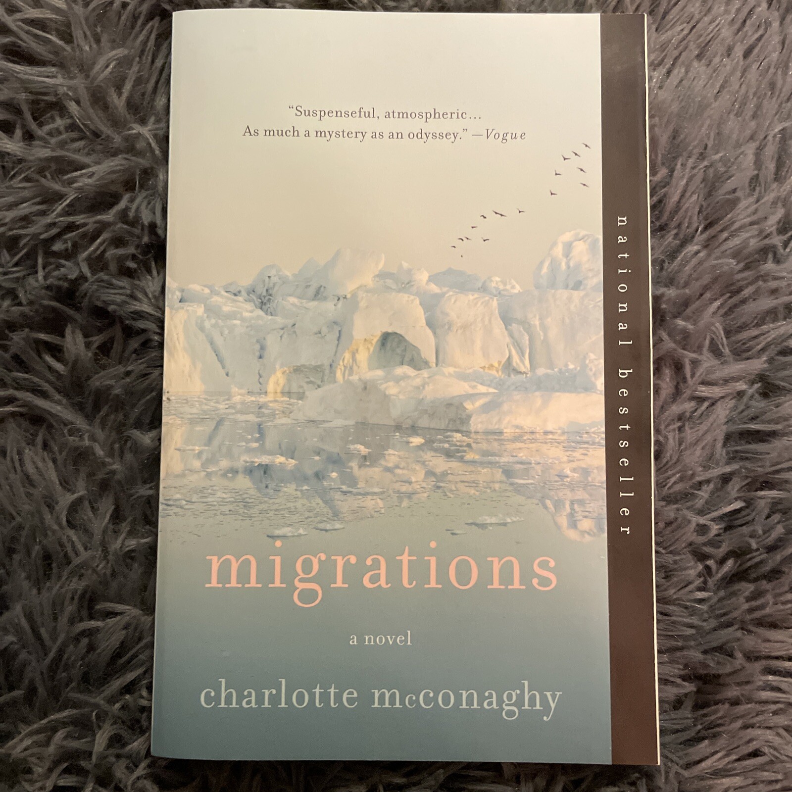 Migrations : A Novel by Charlotte McConaghy (2021, Trade Paperback ...