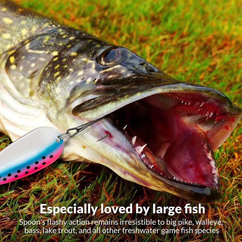 5pcs Spoon Freshwater Saltwater Shad Spoon Spoons Striper Spoons Bait ...