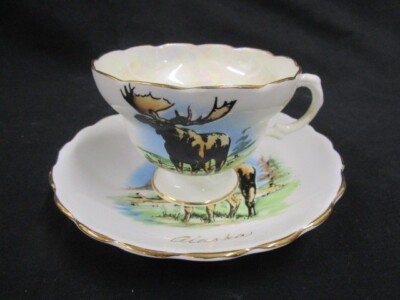 Alaska Souvenir Cup & Saucer Rosina English Bone China Wild Bull Moose ...