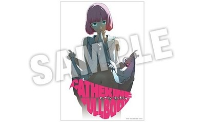 y9 Tapestry Catherine Full Body PS4 Sofmap Bonus B2 New Wall Scroll ...