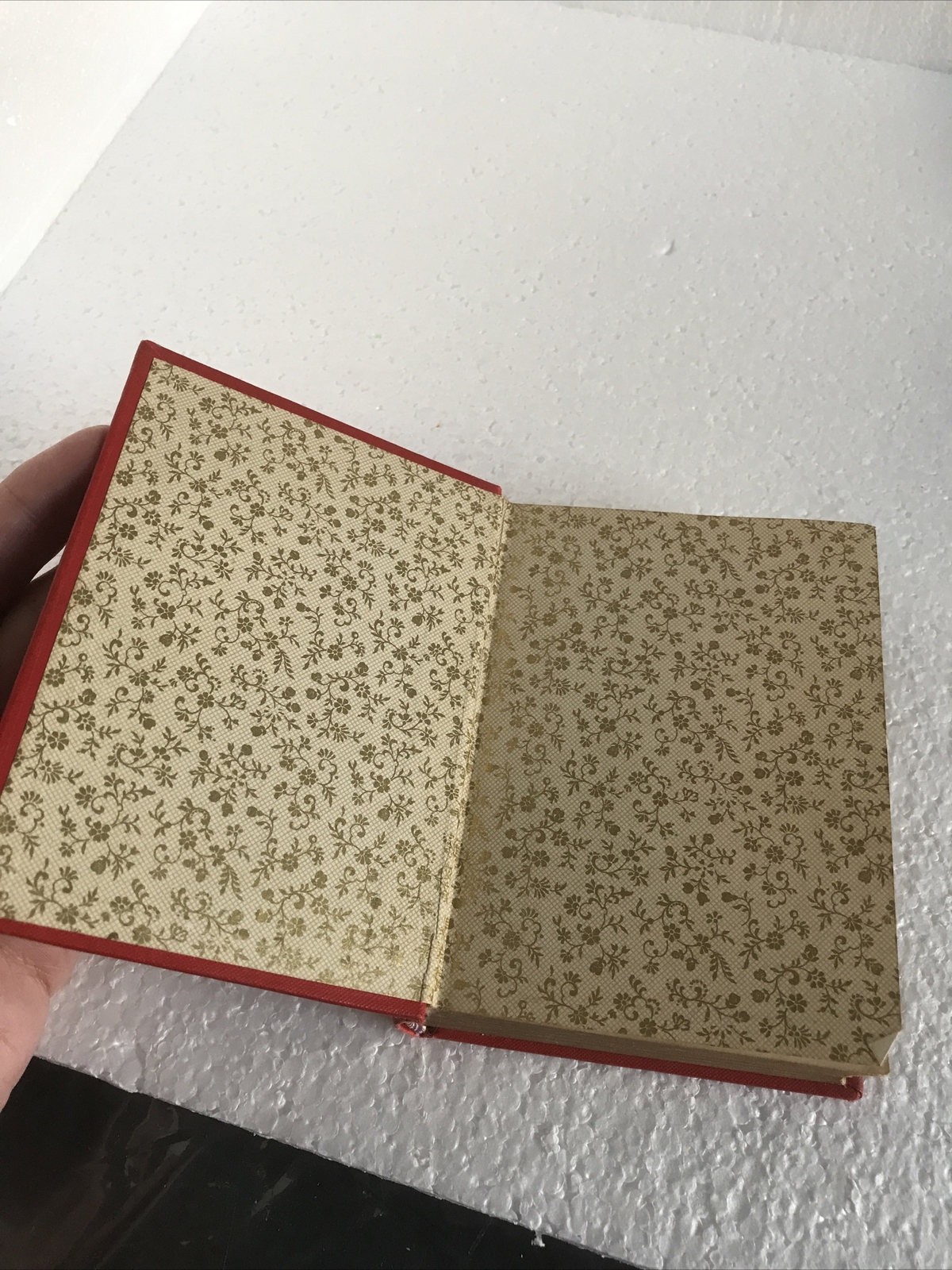 German Forget Me Not Christliches Vergissmeinnicht 1900 Daily Scripture ...