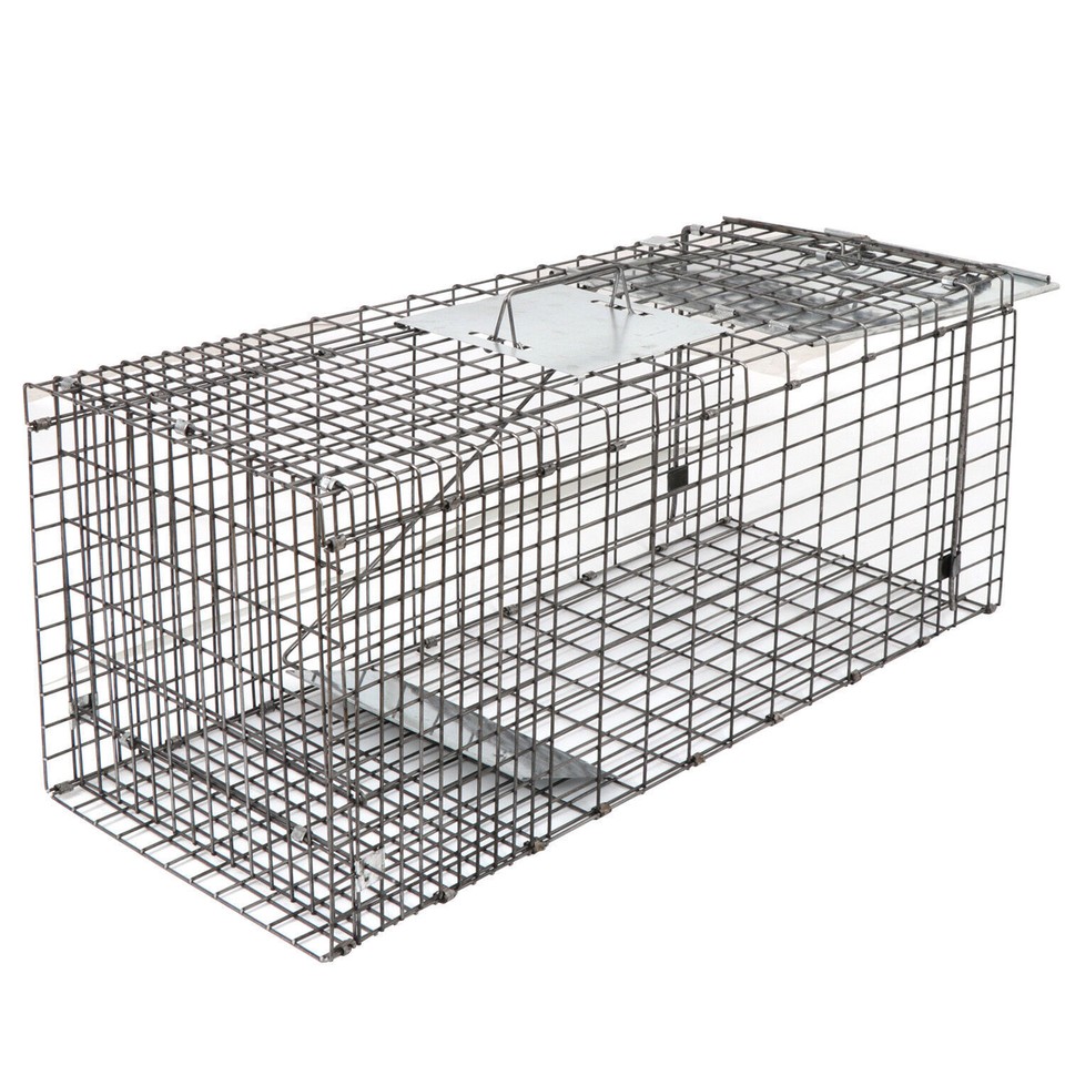 Large Animal Trap Spring Loaded 32x12x13" Easy to Bait & Release Fram ...