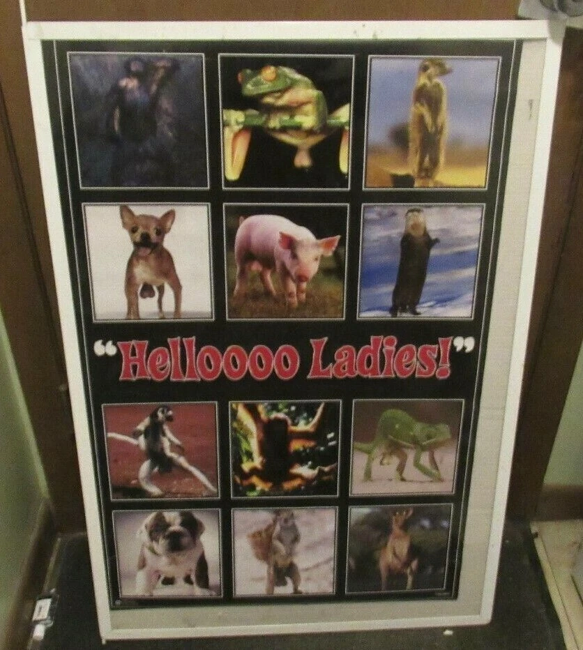 Hello Ladies Poster