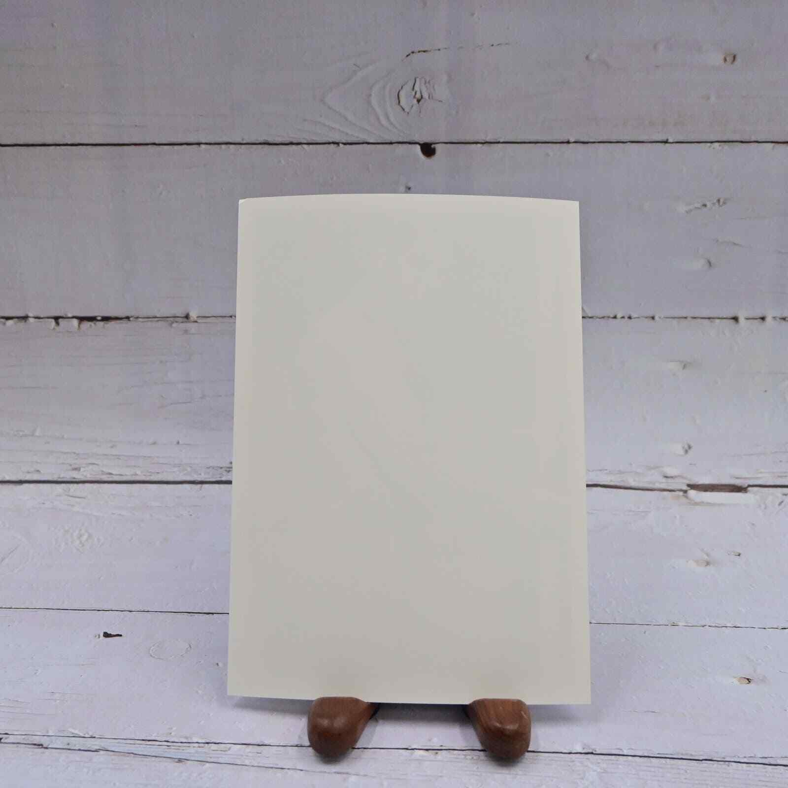 Vintage Original Colt Studio Tim Rawlins B&W Photo Session 5x7 | eBay