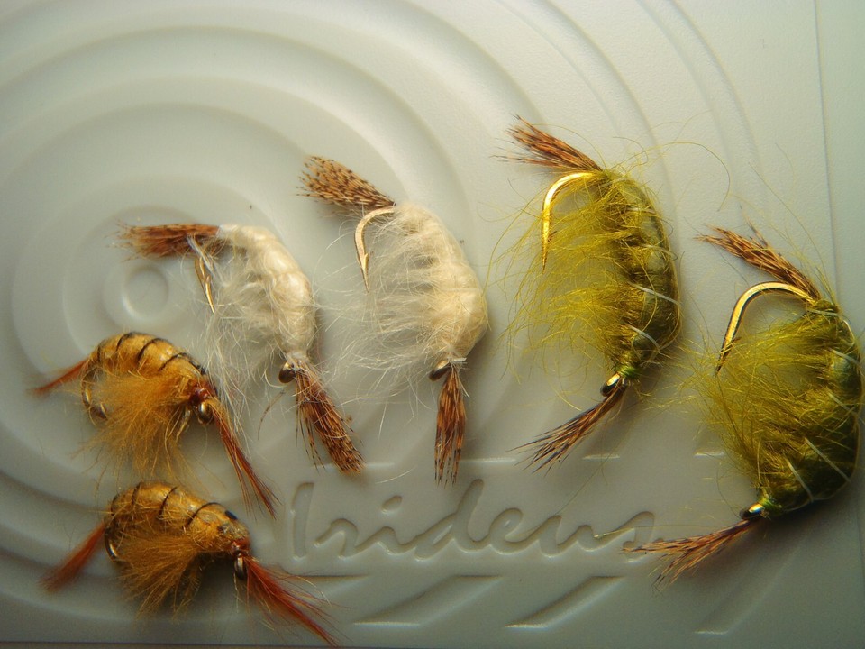 Irideus Czech Nymph Scud Ghost Shrimp Leggy Steelhead Trout Nymphing ...