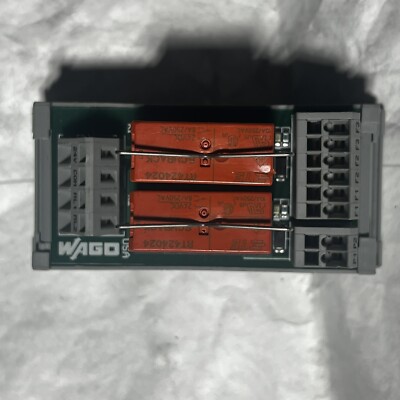 Wago RT424024 Double Relay & Socket, 250VAC 8A DPDT, 24V DC Coil | eBay