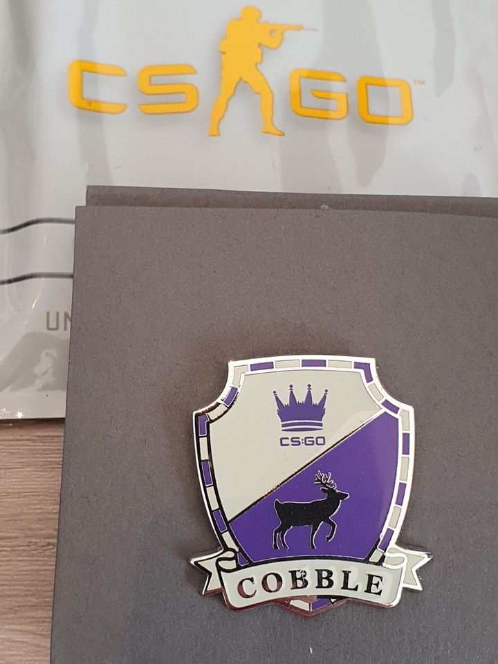 AUSWAHL CS:GO Pin Series 2 Collectible Pin +Ingame Key STEAM Valve CSGO ...