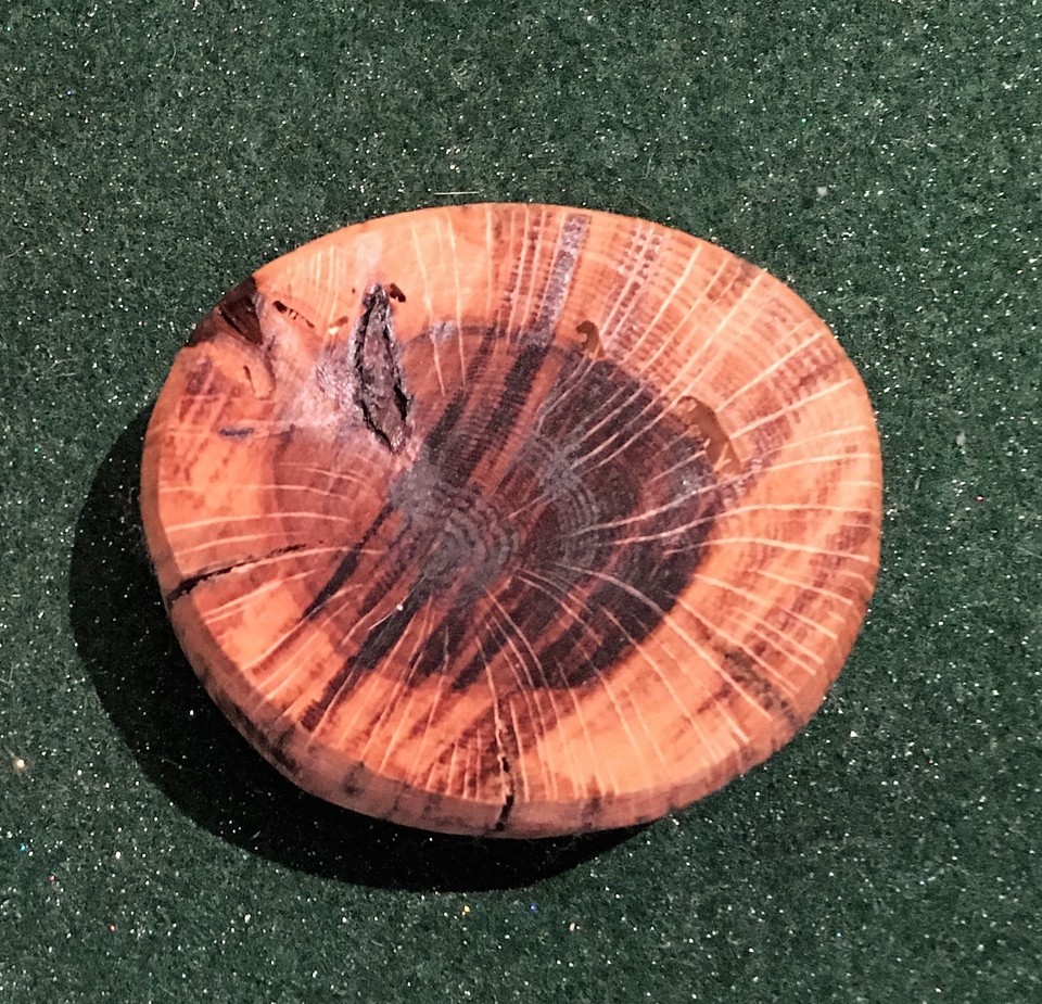 Bow Drill Primitive Friction Fire Kit - Complete Kit with written ...