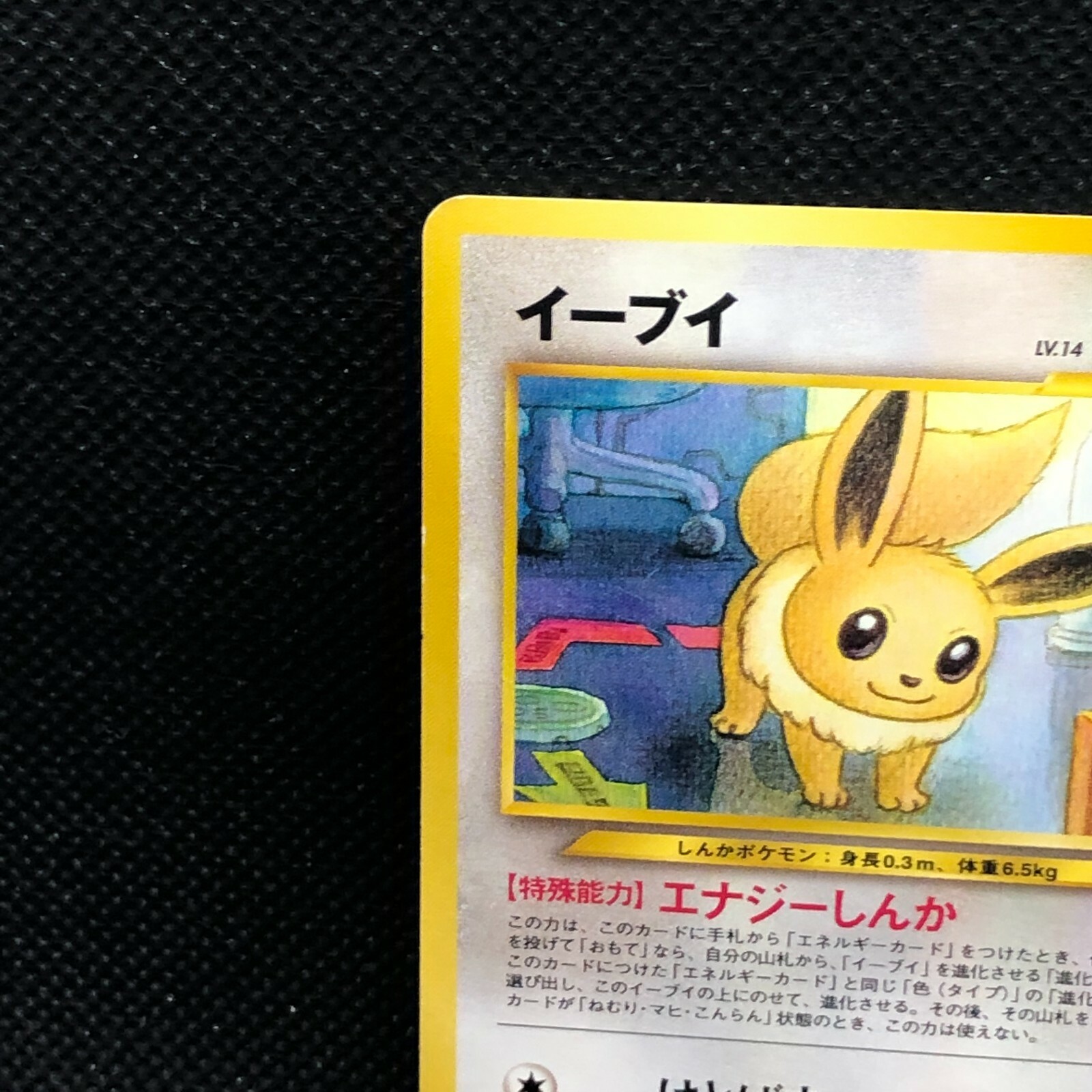Eevee Lv.14 HP50 No.133 Japanese Pokemon Card Nintendo Very Rare Japan ...