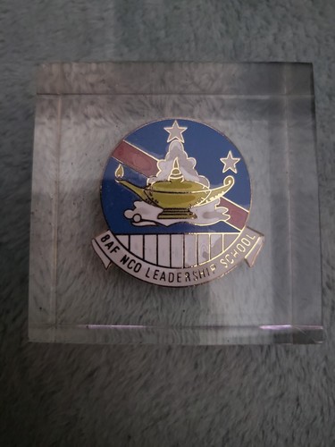 8AF NCO Leadership School Pin Paperweight | eBay