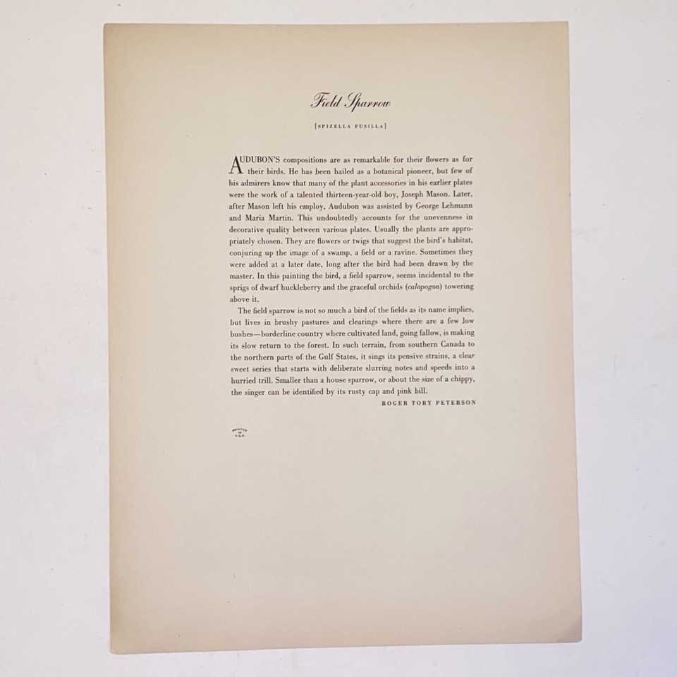 Vintage Audubon John James Birds of America Field Sparrow Lithograph ...