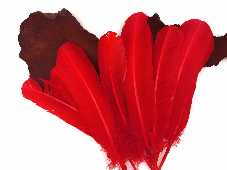 6 Pieces - Red Turkey Rounds Secondary Large Wing Quill Feathers Craft ...