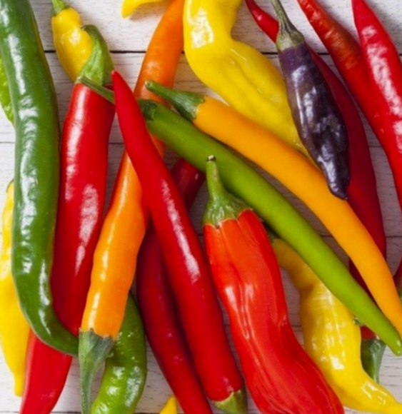 RAINBOW CAYENNE PEPPER SEEDS MIX 30+ SPICY hot PEPPER SALSA FREE ...