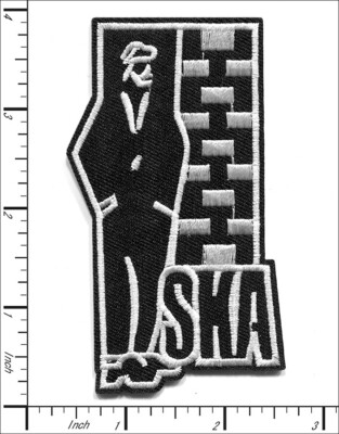 30 Pcs Embroidered Iron on patches SKA 2 Tone 53x98mm AP056sKA | eBay