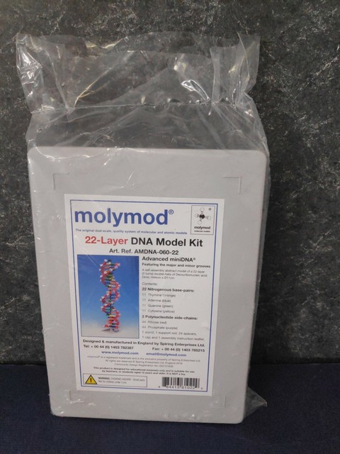 Molymod miniDNA AMDNA06022 DNA Model 22 Base Pair Layer Kit for sale ...