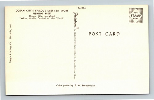 Ocean City MD, Deep Sea Sport Fishing Fleet, Maryland Vintage Postcard | eBay