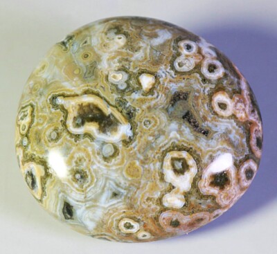 Natural Round Eye Ocean Jasper Agate Quartz Crystal Palm Stone Mineral ...