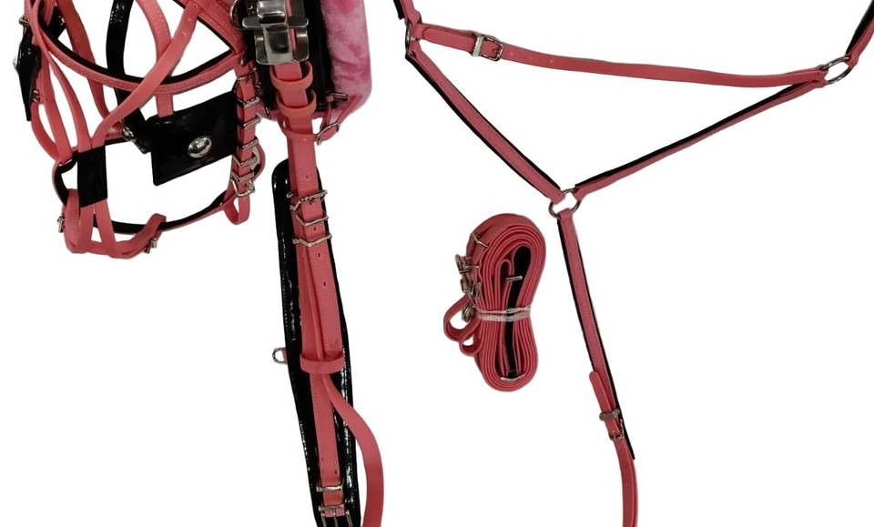 Quick Hitch Horse Driving Harness PVC Pink Black Cob Pony Shet Mini ...