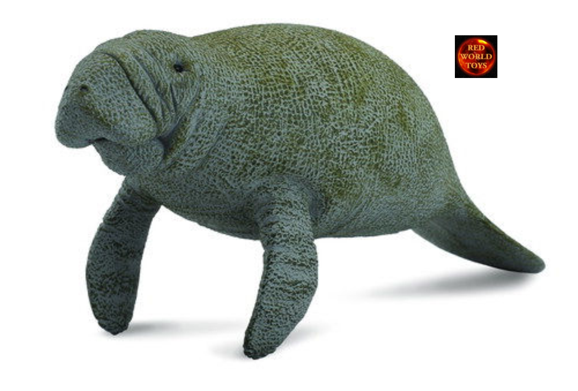 Manatee Adult Sealife Toy Model Figure by CollectA 88455 Brand New | eBay