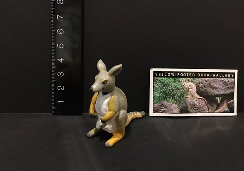 YOWIE YOWIES Yellow-Footed Rock-wallaby PVC Animal Figure | eBay