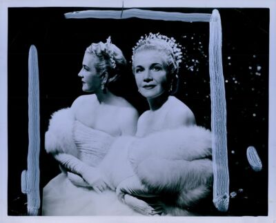 1956 Beautiful Ann Harding Actress Press Photo | eBay