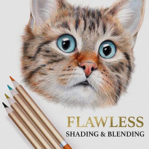 Professional Premium numbered 72 Colored Pencils Set Schpirerr Farben ...