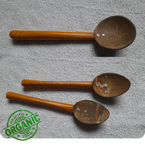Coconut Shell Spoon Kitchen set Handmade Natural Eco-Friendly Spoon ...