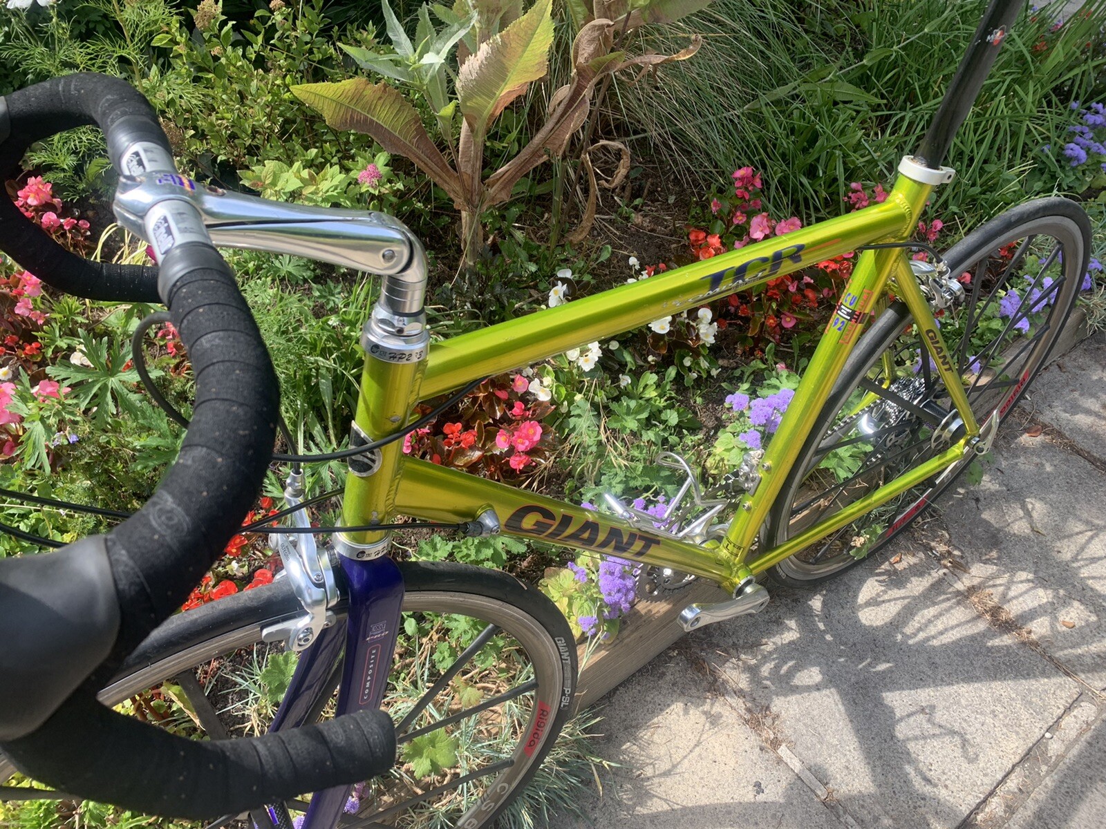 Giant TCR Compact Expert Series 1997 Mike Burrows Shimano Ultegra 18 ...