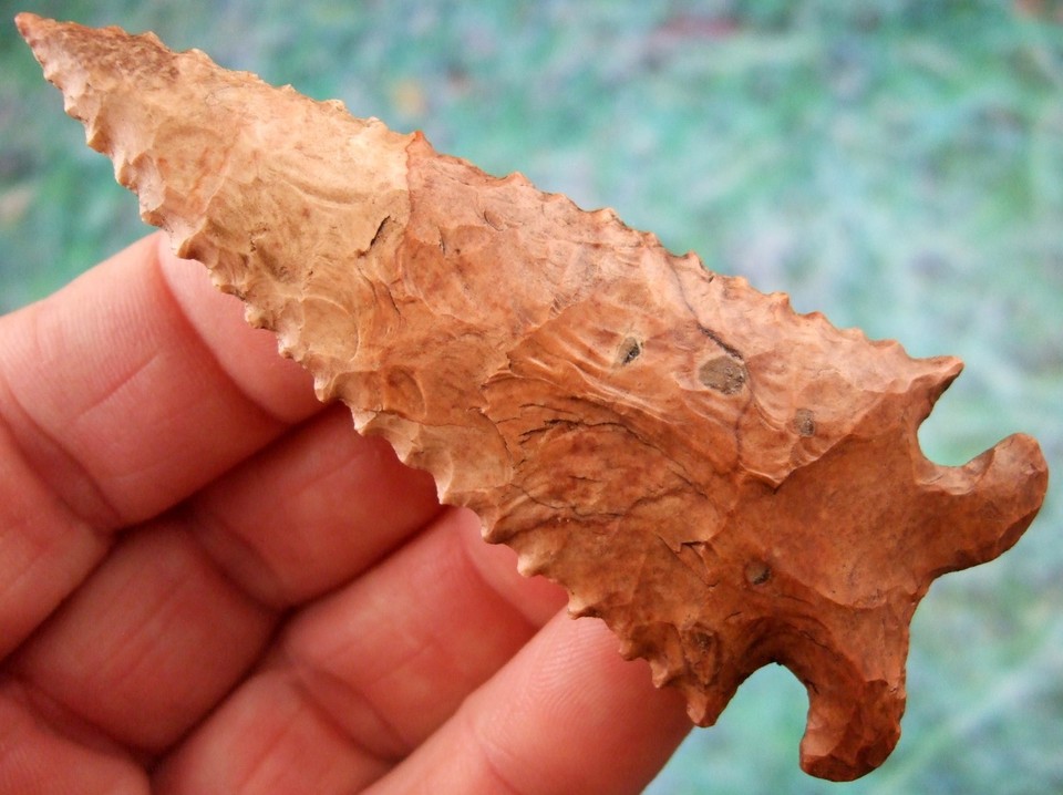 Super Fine 3 1/2 inch Serrated Florida Pine Tree Point with COA Arrowheads | eBay