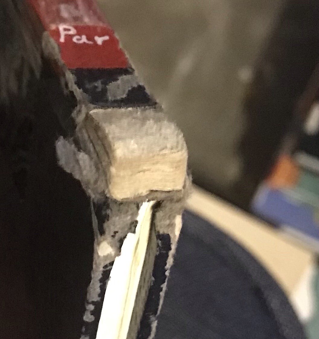 Cynthia Ann Parker, Indian Captive by Catherine Troxell Gonzalez 1980 ...