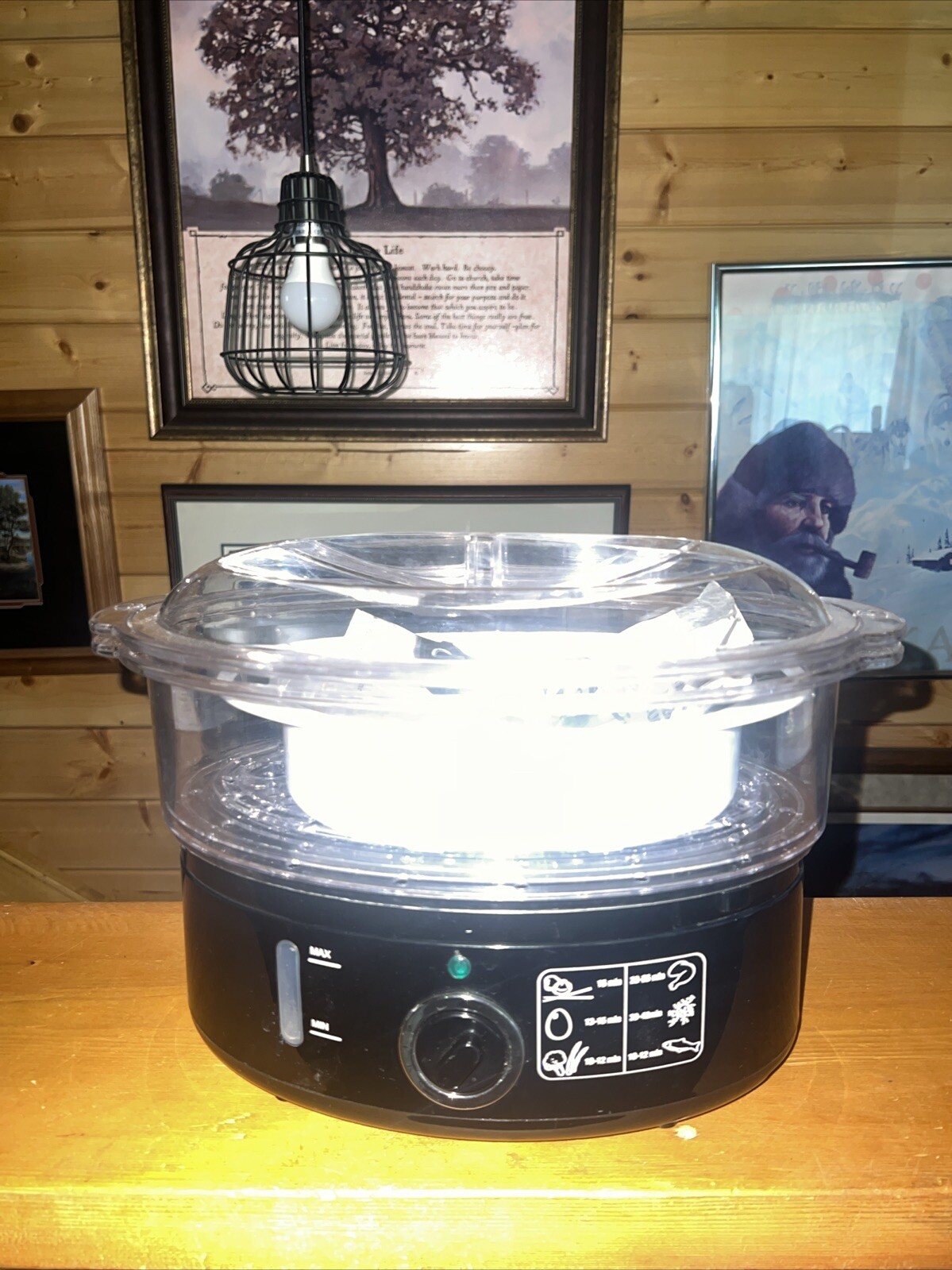 BELLA Electric Food Steamer Vegetable Meat Rice Bowl Cooker Model 13872 ...