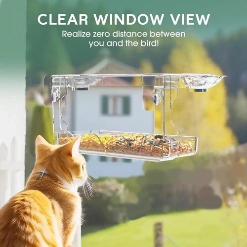 Window Bird Feeder and Viewing Box With Double Feed Tray, Clear Perspex ...
