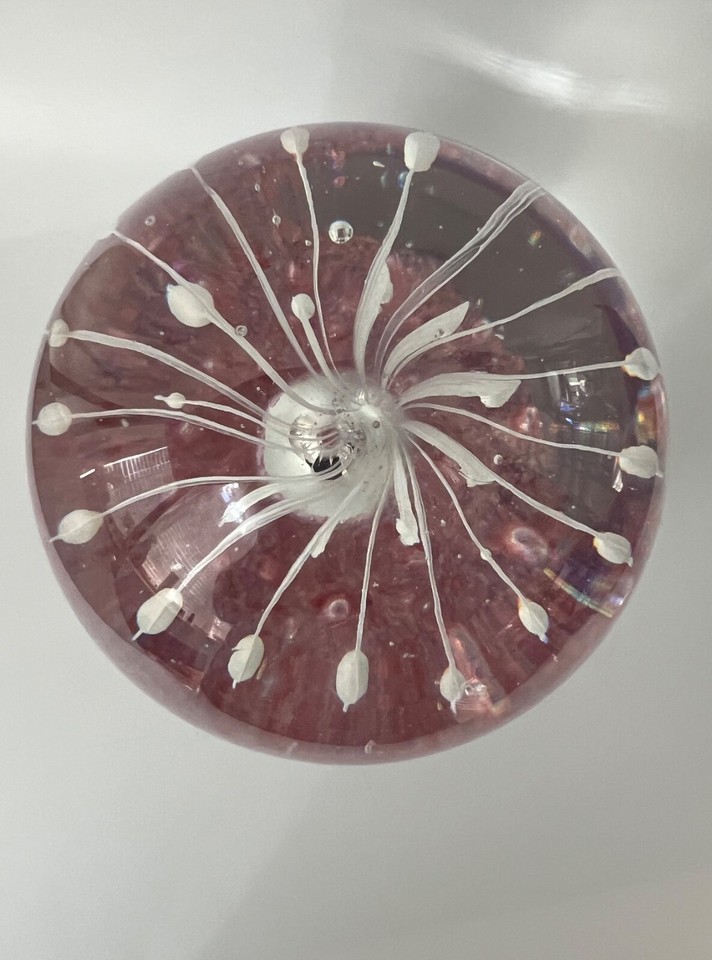 Pink and Purple ANEMONE Art Glass MAGNUM SIZED Paperweight MINT ...
