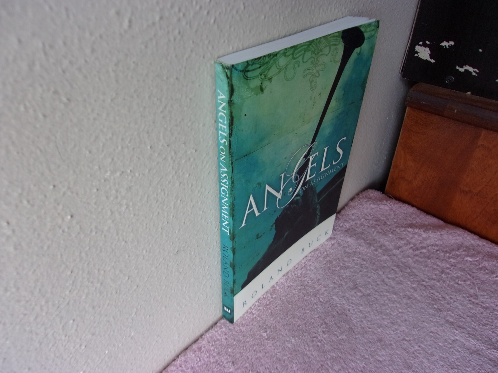 Angels on Assignment by Roland Buck (2005, Trade Paperback) for sale ...