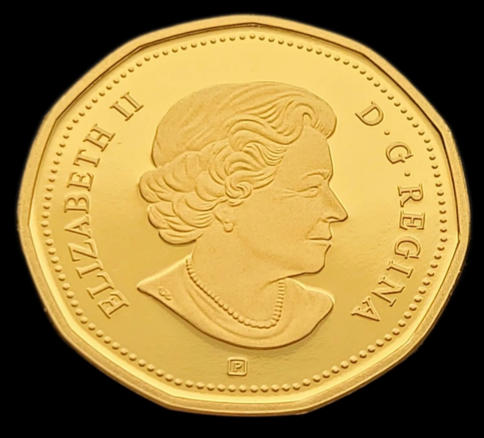 ** 1$ CANADA PROOF LOONIE 2013 FINE SILVER ** TAXE EXEMPT FOR CANADIAN ...
