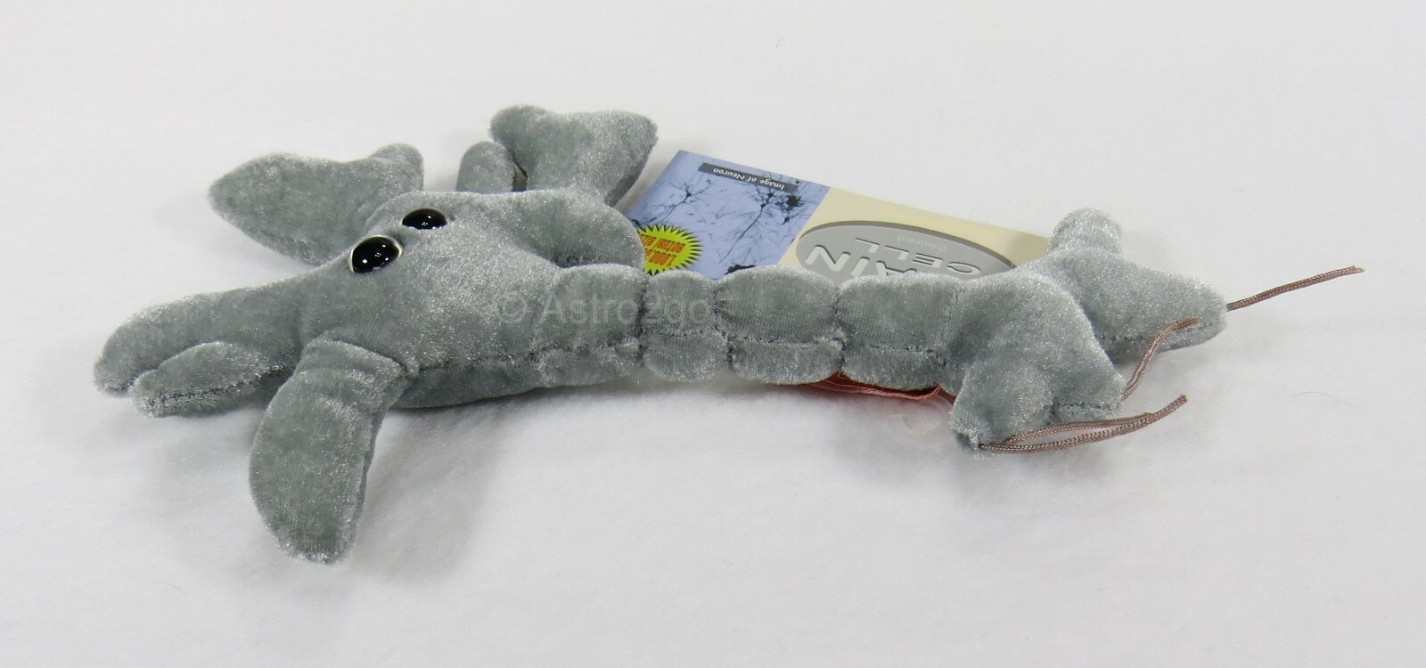 GIANT MICROBES-BRAIN CELL-Stuffed Plush Neuron Synapse Biology Medical ...