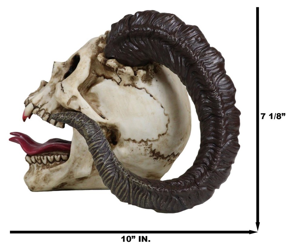 Large Bizarre Demonic Krampus Ram Horned Skull Statue Gothic Figurine ...