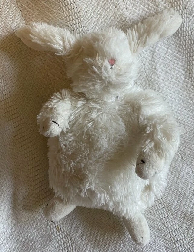 Fluffy White Baby Bunnies