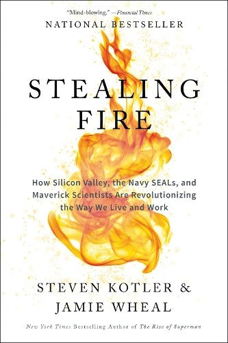 Steven Kotler Stealing Fire (Poche) 9780062429667 | eBay